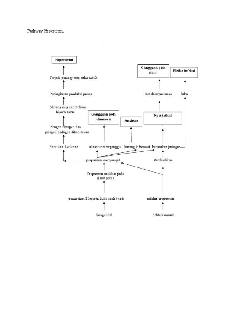 Pathway Hipertermi | PDF