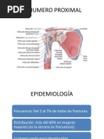 Síndrome de la Arcada de Frohse | PDF | Sistema musculoesquelético ...