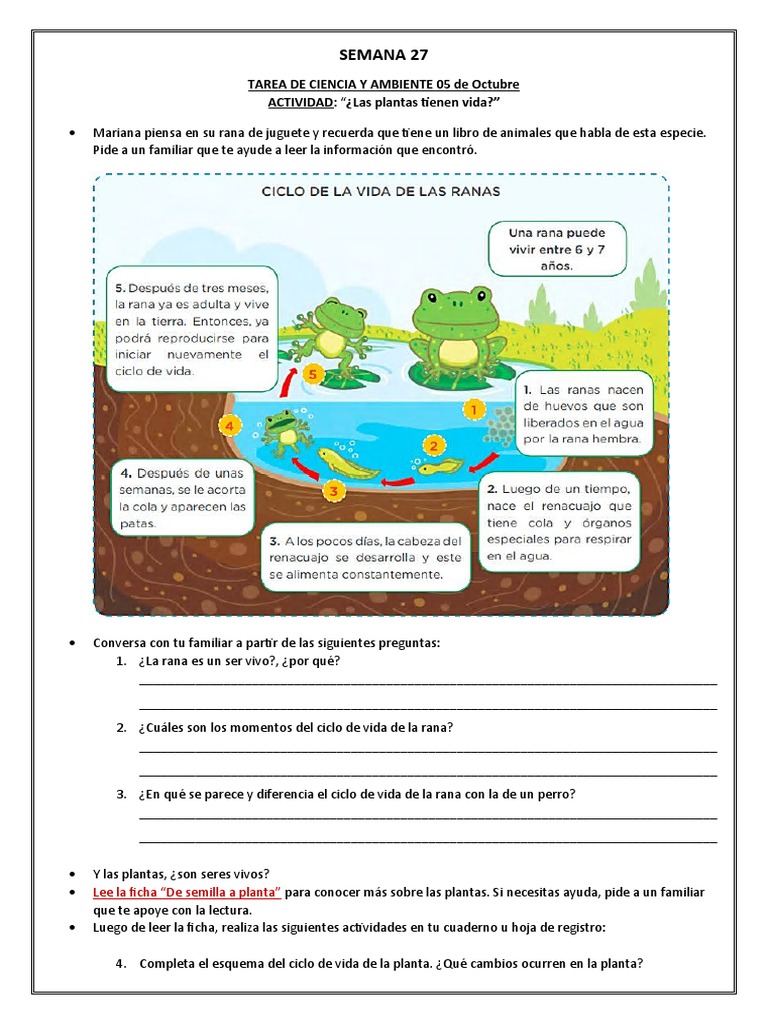Comparación de ciclos de vida: rana y plantas | PDF | Plantas | Science