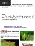 Gundhi Bug Zoo | PDF | Rice | Insects