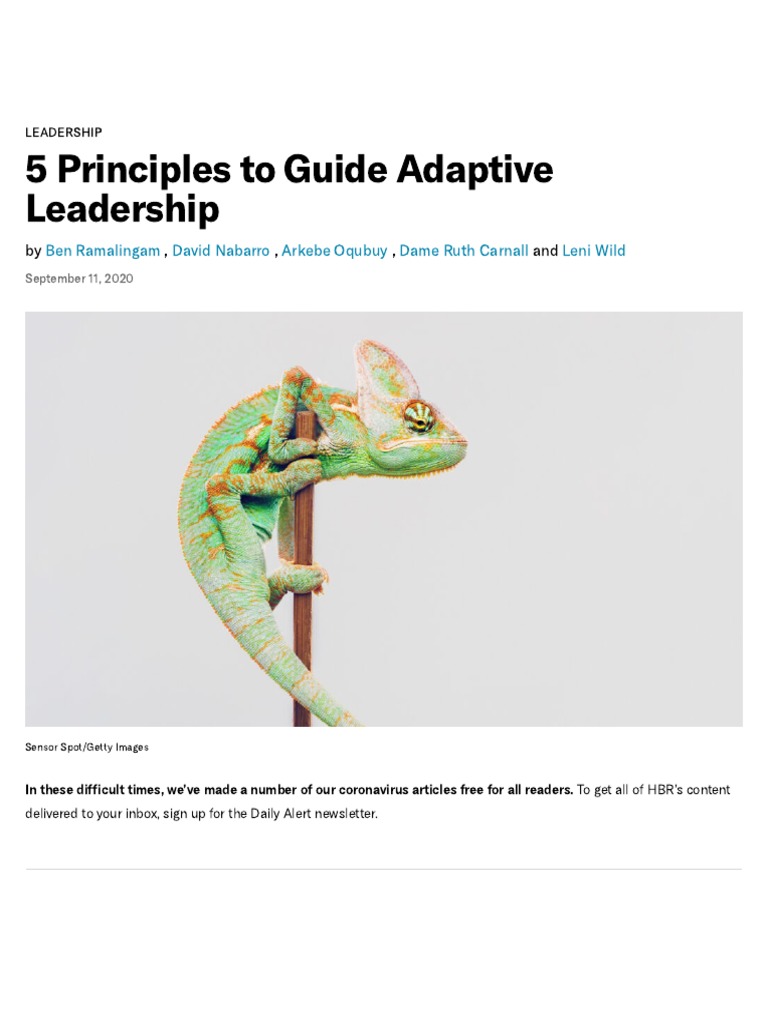 5 Principles To Guide Adaptive Leadership-1230 | Download Free PDF ...