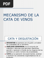 Partes de Una Copa de Vino | PDF | Vino | Alimentos