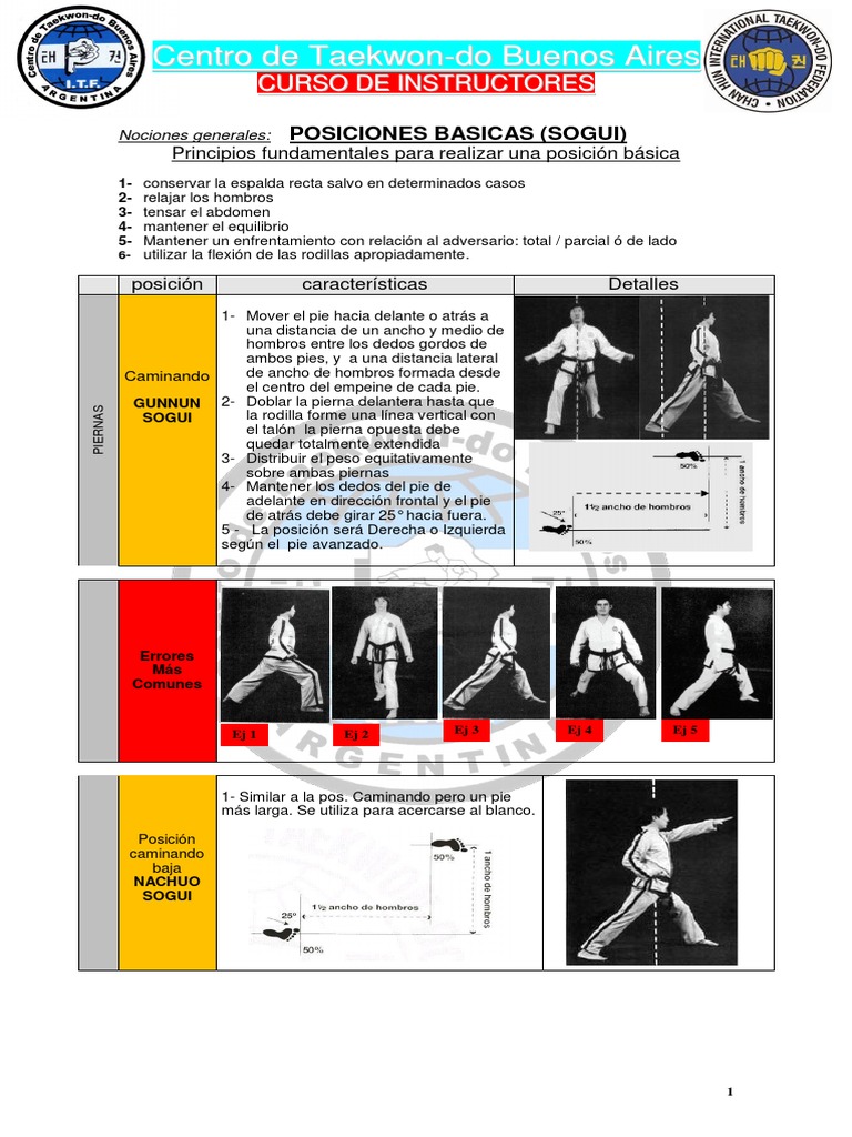 Posiciones Basicas 2021 | PDF | Pie | Taekwondo