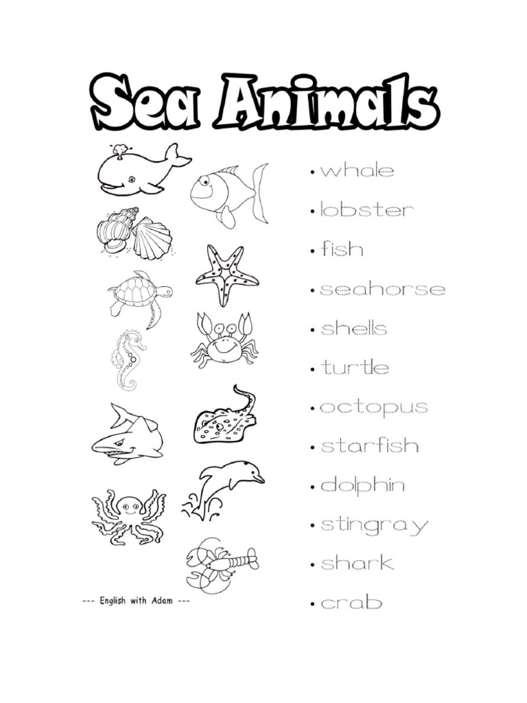 Sea Animals | PDF