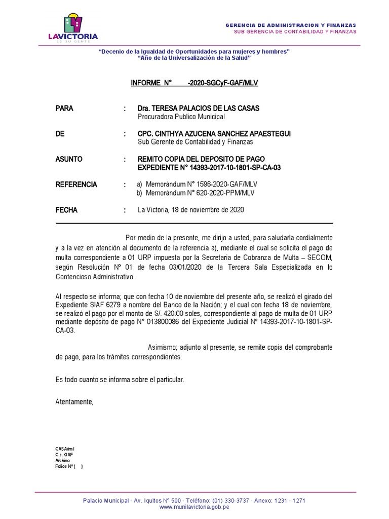 Ejemplo Informe MULTA JUD 1URP | PDF