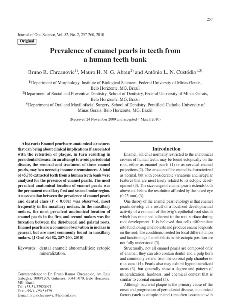 Prevalence of Enamel Pearls in Teeth From A Human Teeth Bank | PDF ...
