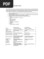 Protocolo de Nichd | PDF