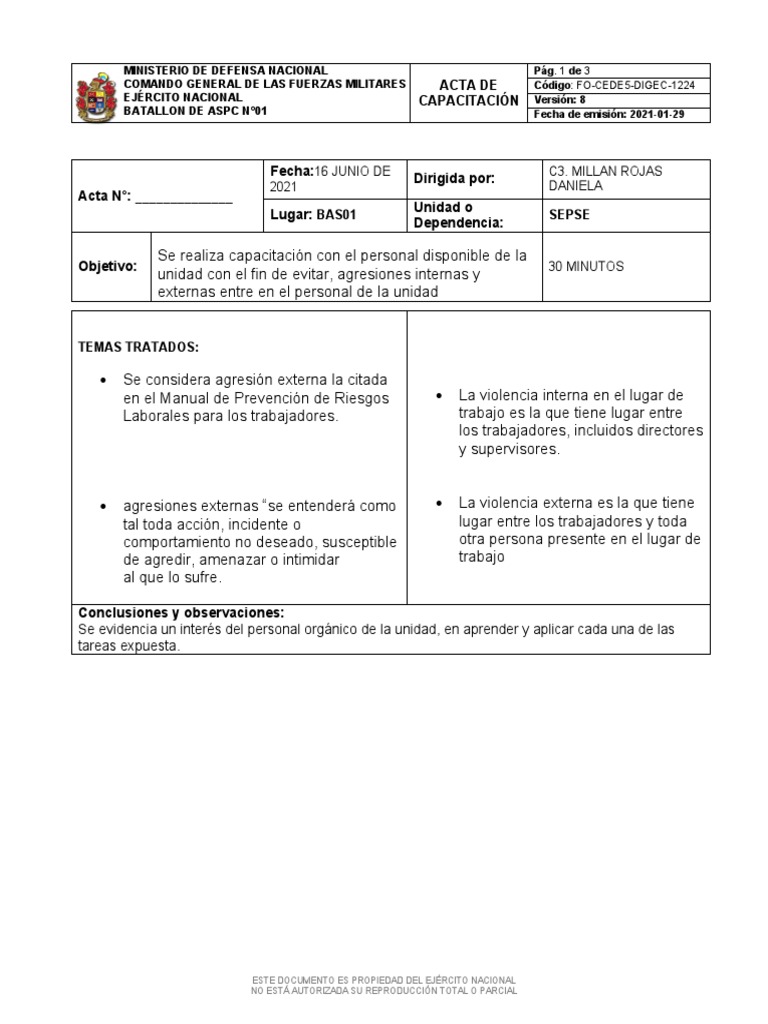Bas01 Capacitacion Agresiones Internas y Externas | PDF | Violencia ...
