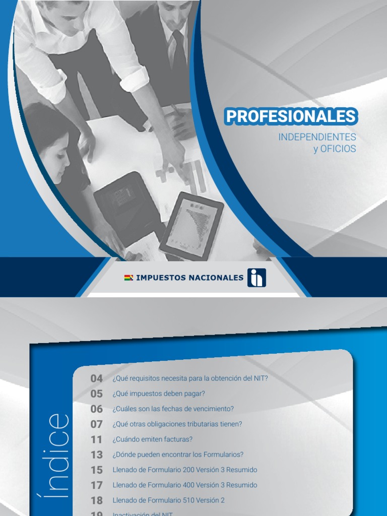 Profesionales Nit Bolivia | PDF | Factura | Impuestos