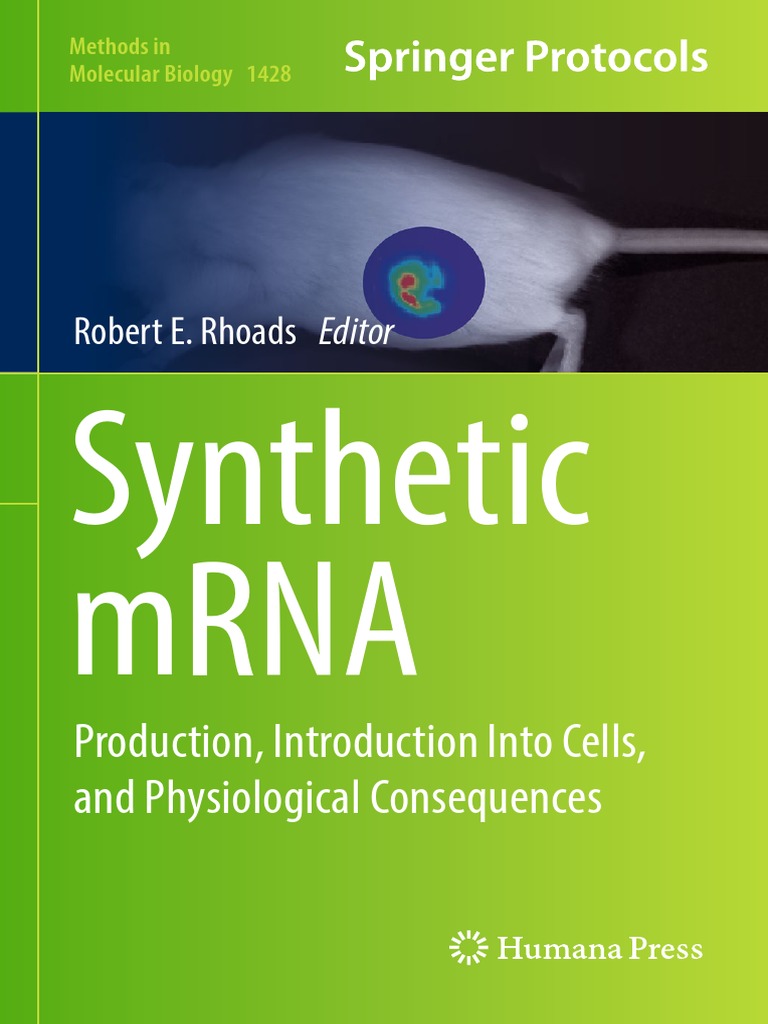 Synthetic Mrna: Production, Introduction Into Cells, and Physiological ...