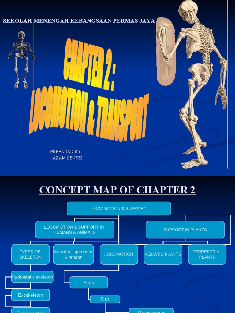 Nota Bab 2 Locomotion and Support Part 1 | PDF | Vertebral Column ...