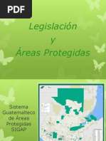 Ley y Reglamento de La Ley RIC | PDF | Propiedad | Guatemala