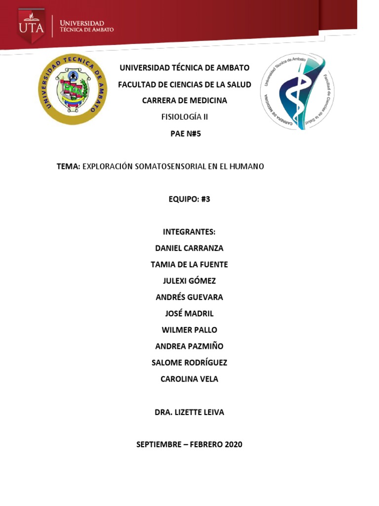 Pae 5 | PDF | Neurociencia | Sistema nervioso