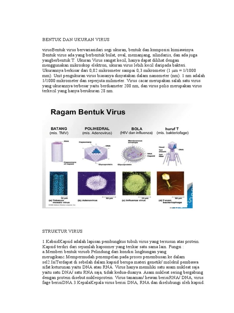 Bentuk Dan Ukuran Virus | PDF