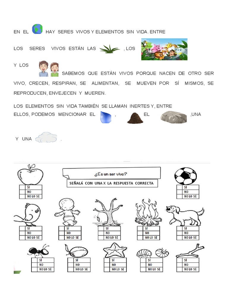 En El Hay Seres Vivos y Elementos Sin Vida | PDF