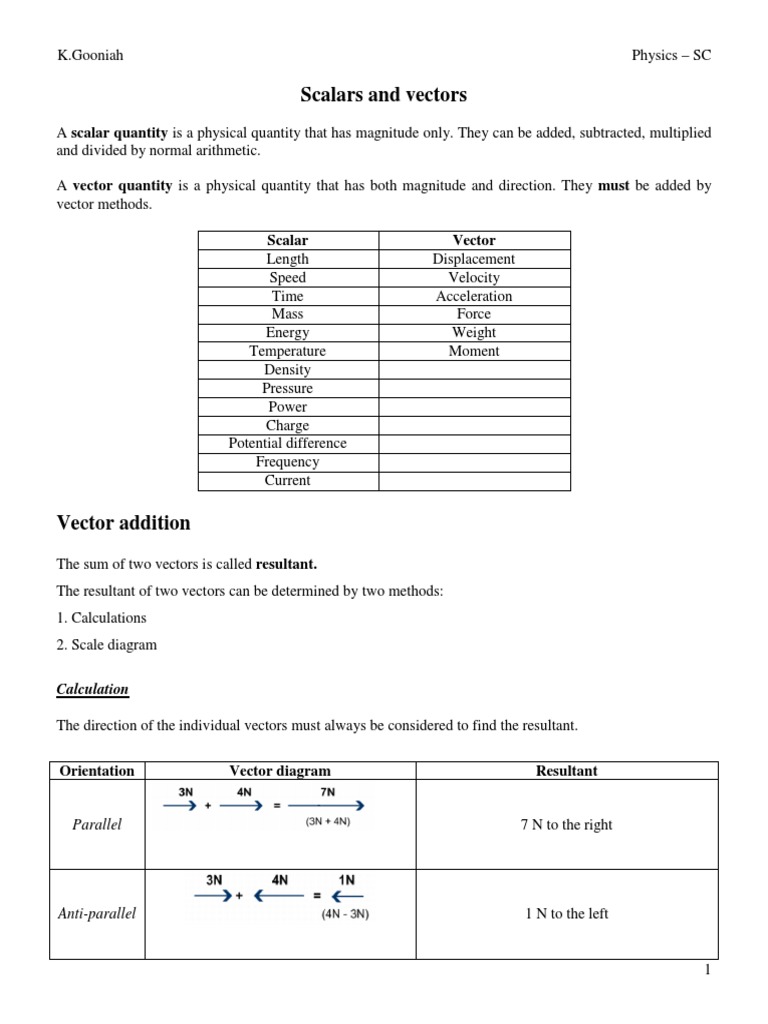 Scalars and Vectors | PDF | Euclidean Vector | Force