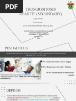 Anemia Normositik Normokrom | PDF