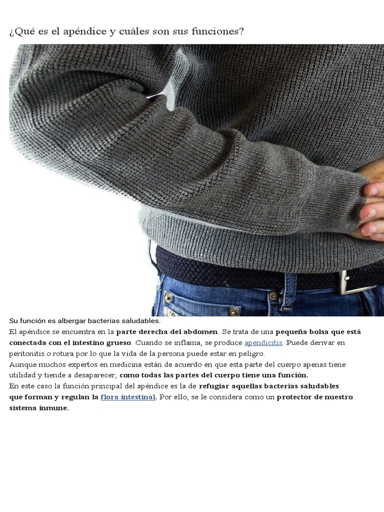 Qué Es El Apéndice y Cuáles Son Sus Funciones | PDF