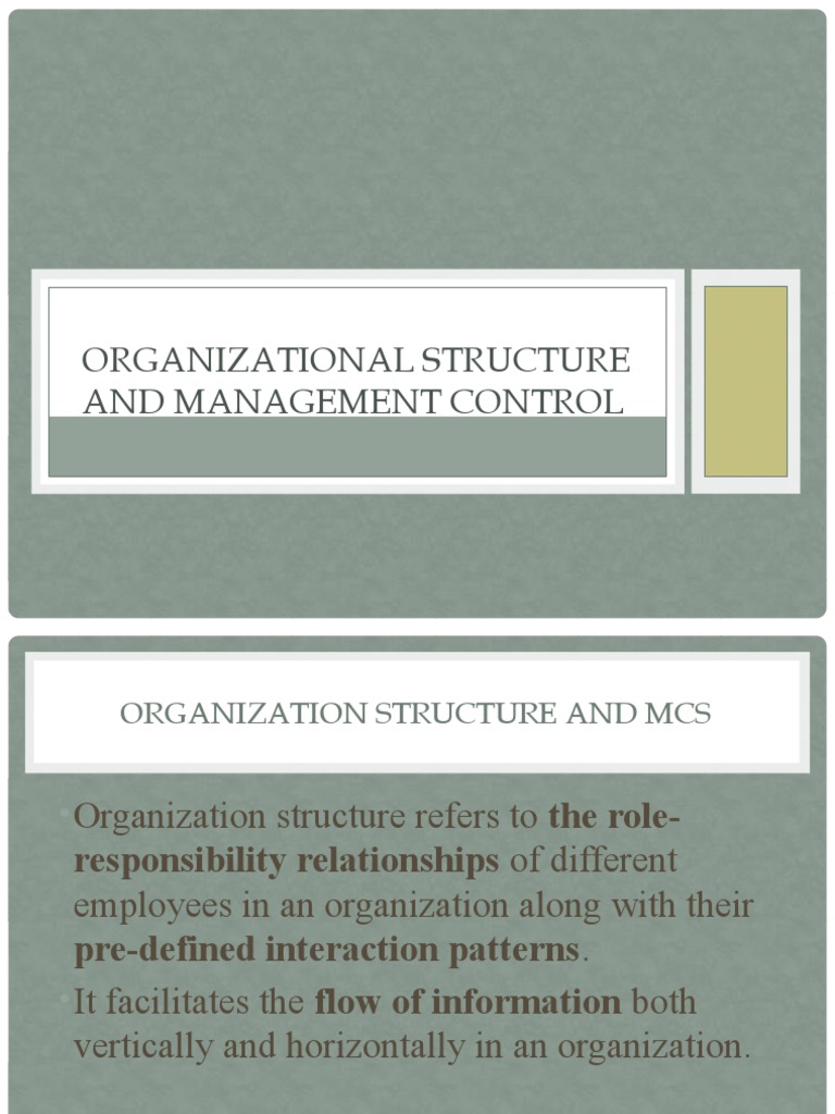 Organization Structure and MCS | PDF | Organizational Structure | System