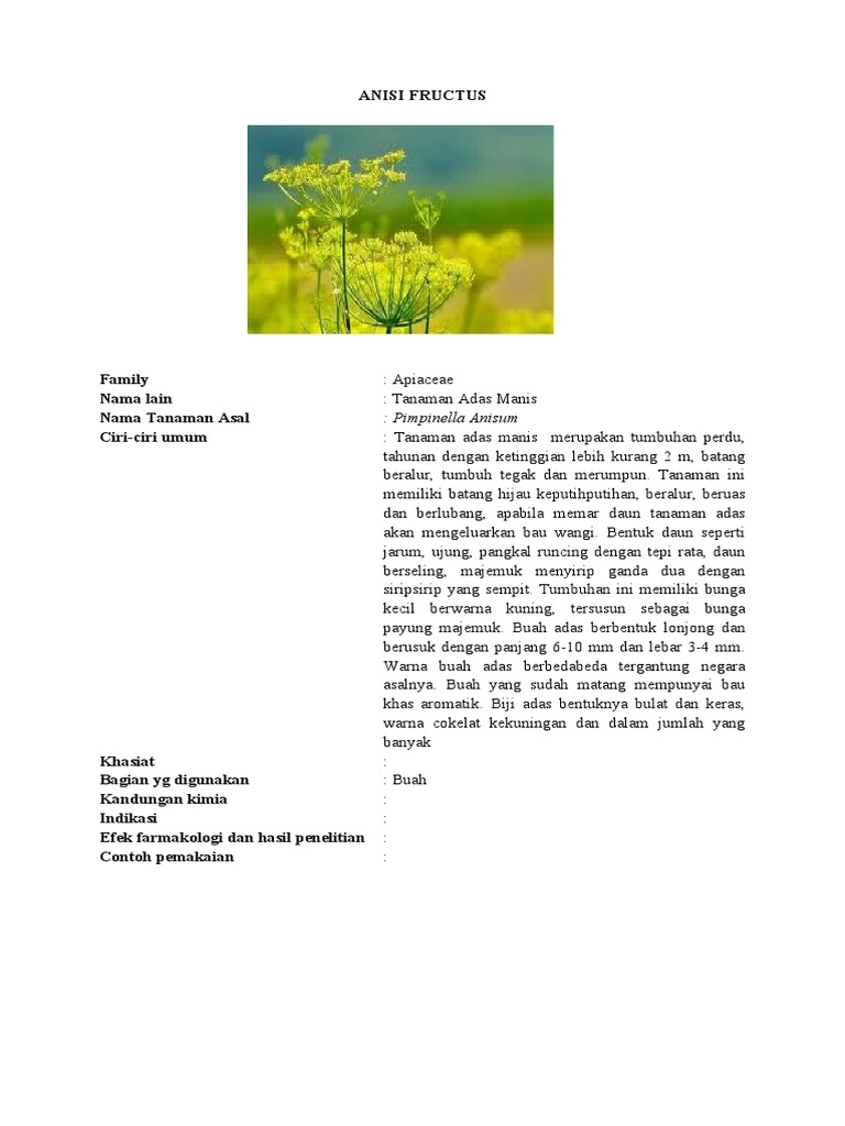 Anisi Fructus | PDF