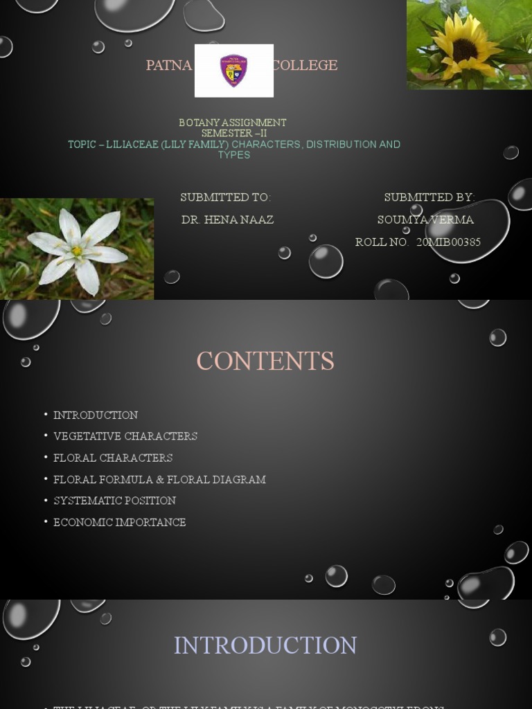 Liliales Family Botany Assignment on Liliaceae | PDF | Botany | Plants