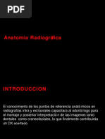 Limite Anatomicos Del Maxilar Inferior RX | PDF | Anatomia animal ...