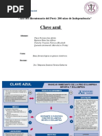 Protocolo Clave Azul en Obstetricia | PDF | Medicina CLINICA | Laboratorios