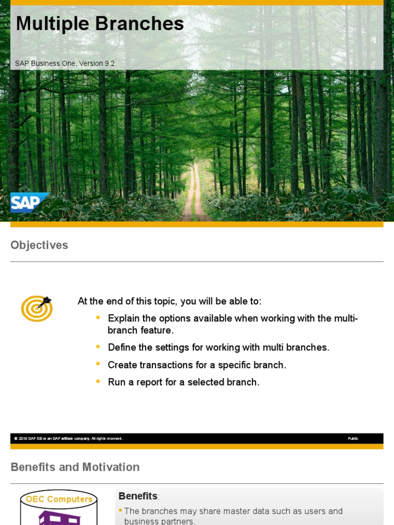 Multiple Branches: SAP Business One, Version 9.2 | PDF | Databases | Voucher