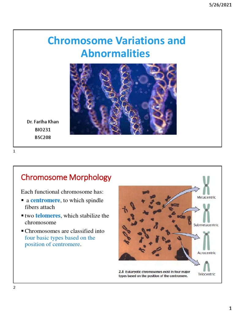 Chromosome abnormalities-BIO-231-FK | PDF | Ploidy | Meiosis