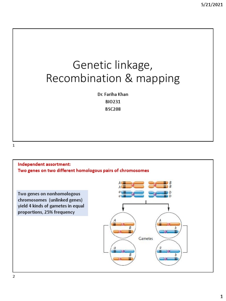 Genetic Linkage, Recombination, Mapping - BIO231-FK | PDF | Genetic ...