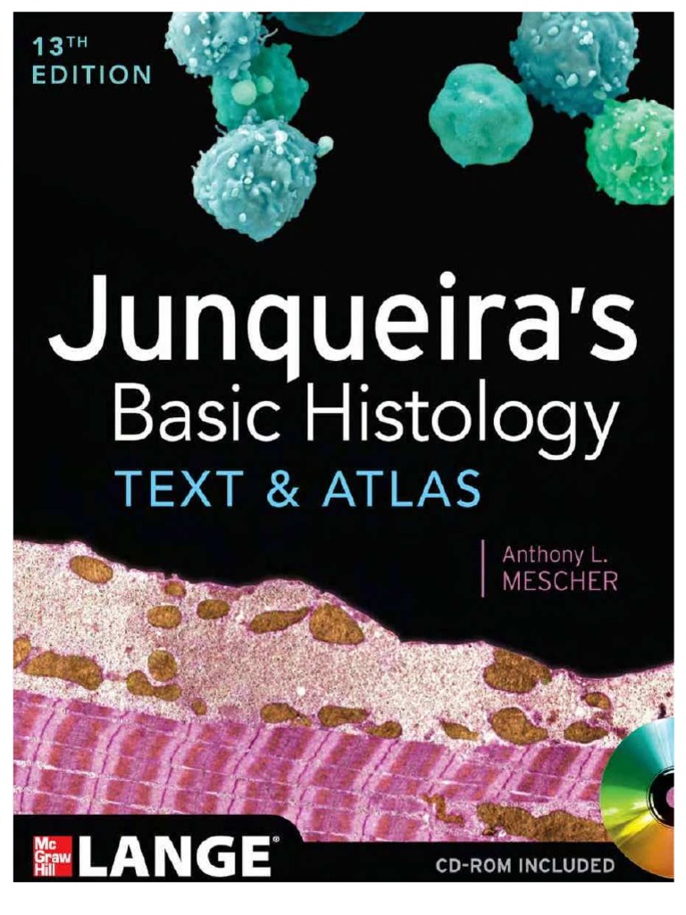 Pdf Junqueira S Basic Histology Text And Atlas 14th Edition B Indo