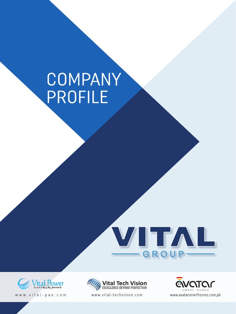 Vital Group Profile | PDF