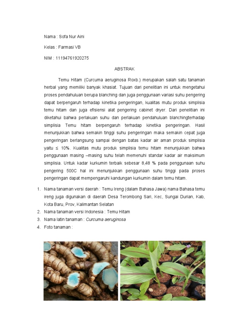 Temu Ireng Atau Temu Hitam | PDF