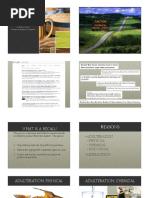 Mock Recall Record Sample | PDF