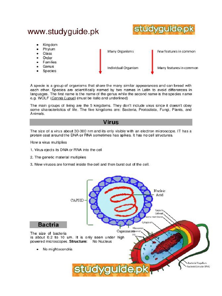 Igcse Biology Revision Notes | PDF