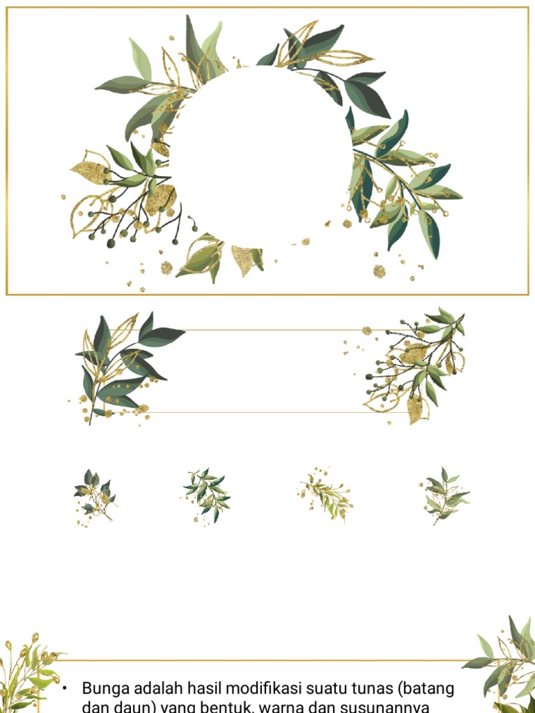 Struktur & Fungsi Anatomi Organ Bunga | PDF