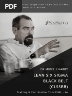 Lean Six Sigma Yellow Belt Project Examples | PDF | Six Sigma | Energy ...