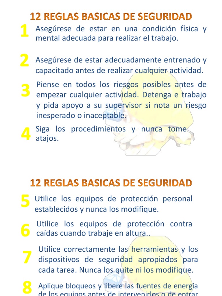 12 Reglas Basicas de Seguridad | PDF