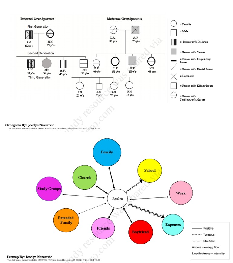 Genogram and Ecomap Overview | PDF | Family | Society