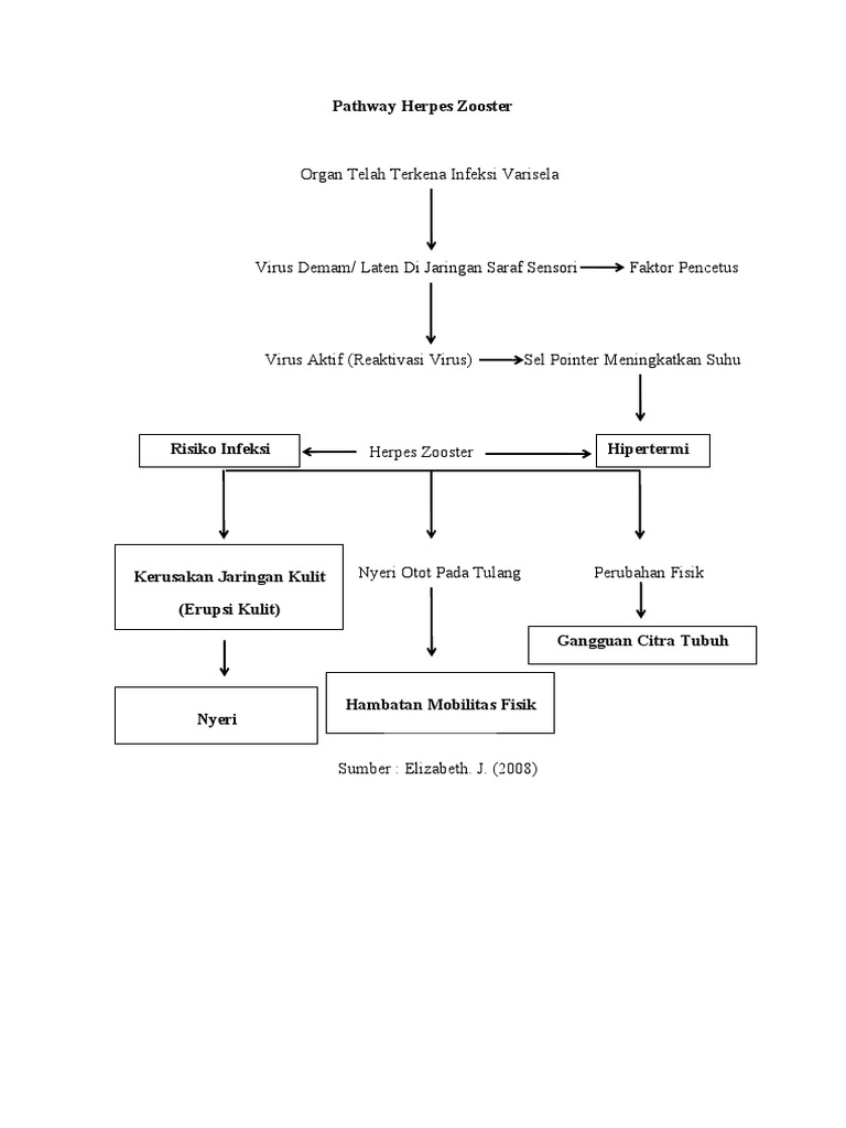 Pathway Herpes Zooster | PDF