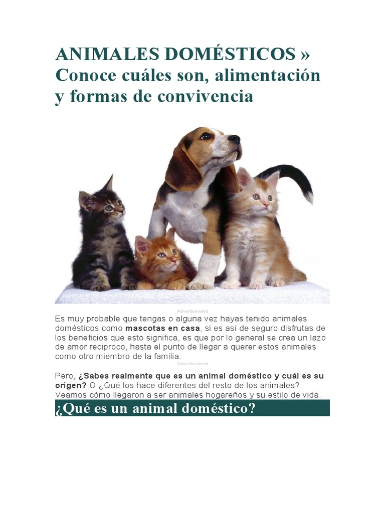 Animales Domésticos | PDF | Domesticación | Mascota