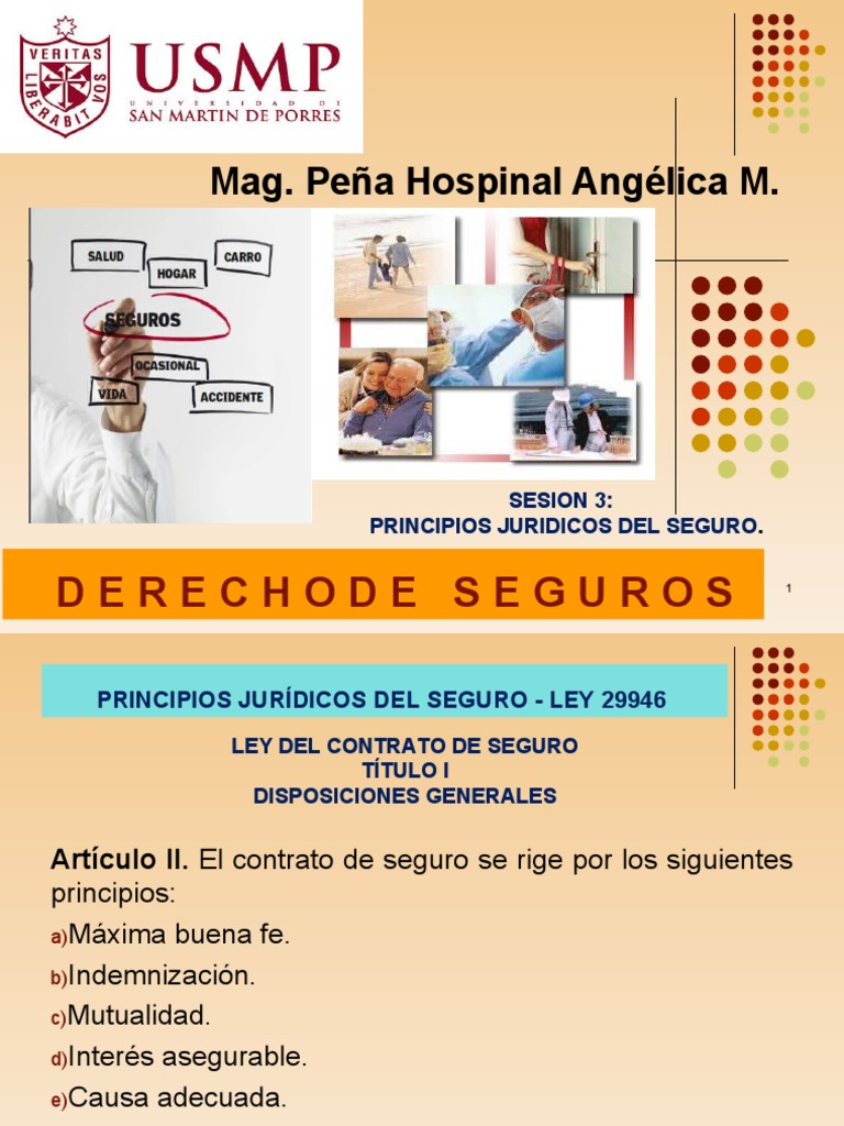 Principios Derecho de Seguros | PDF | Póliza de seguros | Reaseguro