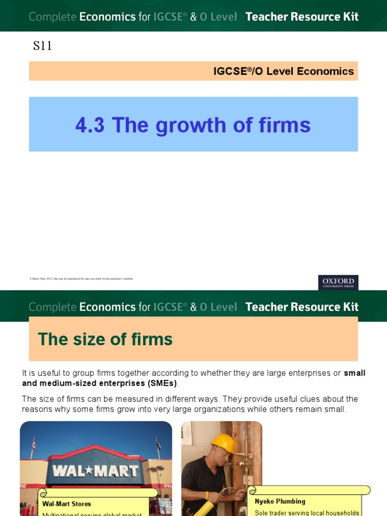 The Growth of Firms | PDF | Economies Of Scale | Mergers And Acquisitions