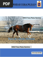 Equus Ferus Caballus | PDF | Caballos | Zoología