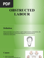 WHO Labour Care Guide | PDF | Childbirth | Human Pregnancy