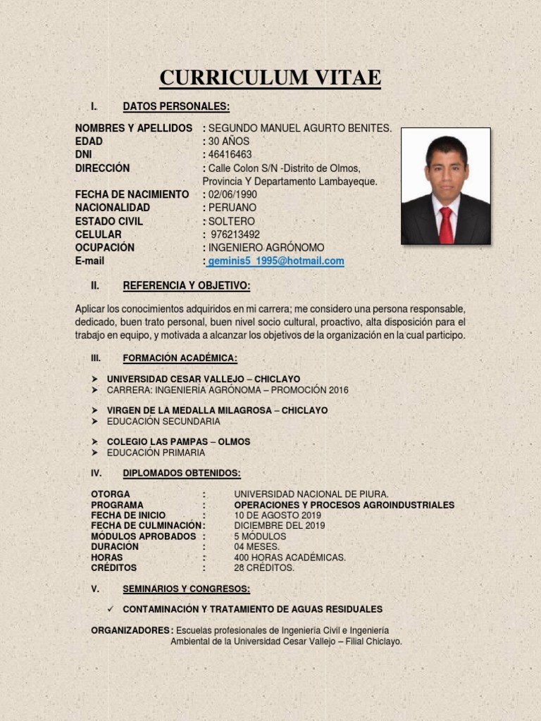 Curriculum Vitae Manuel | PDF | Ingeniería | Business