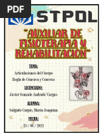 Tracto Rubroespinal | PDF | Cerebro | Neuroanatomía