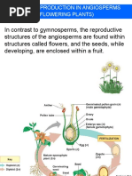 Angiosperms PPT Revised | PDF | Pollination | Flowers