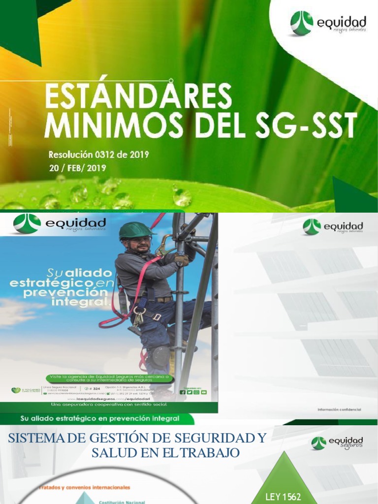 Presentacion Estandares Minimos-Resolucion 312 Del 2019 | PDF | Empresas | Desarrollo profesional