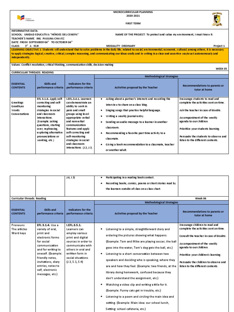 Micro Planning Project 1 Third | PDF | English As A Second Or Foreign ...